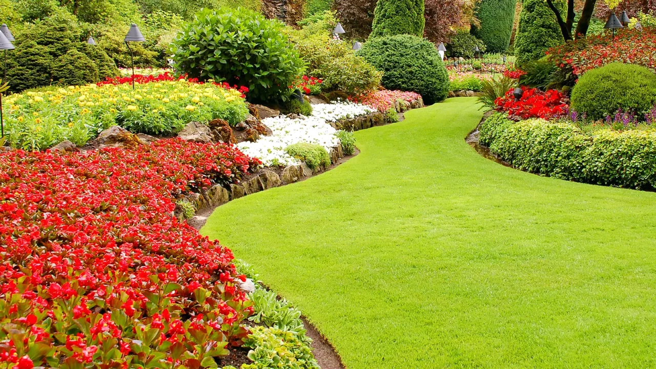 The push for pet-friendly gardens is changing how people choose plants ...