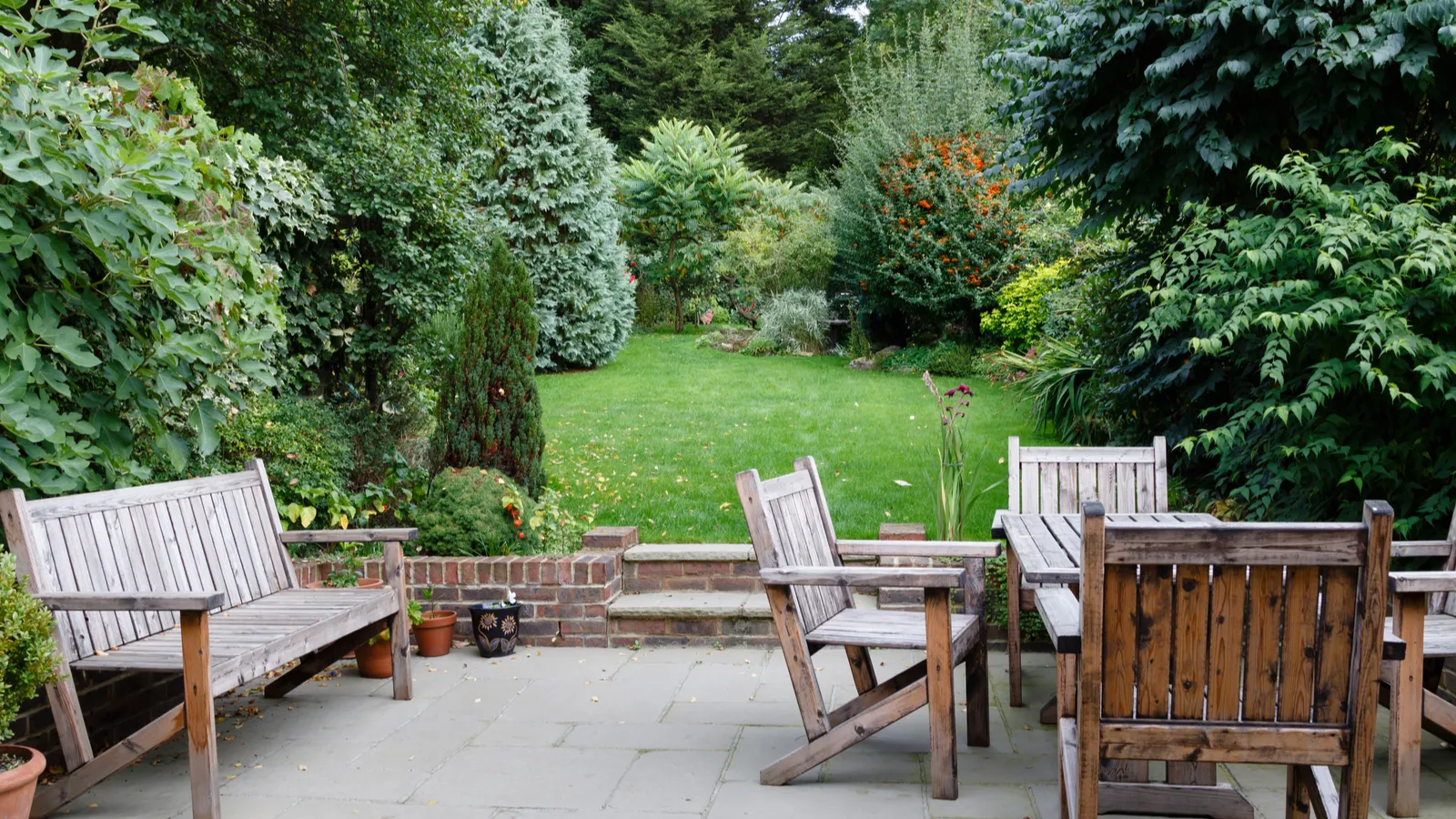 A beginner’s guide to creating a beautifully fragrant garden – Automate ...